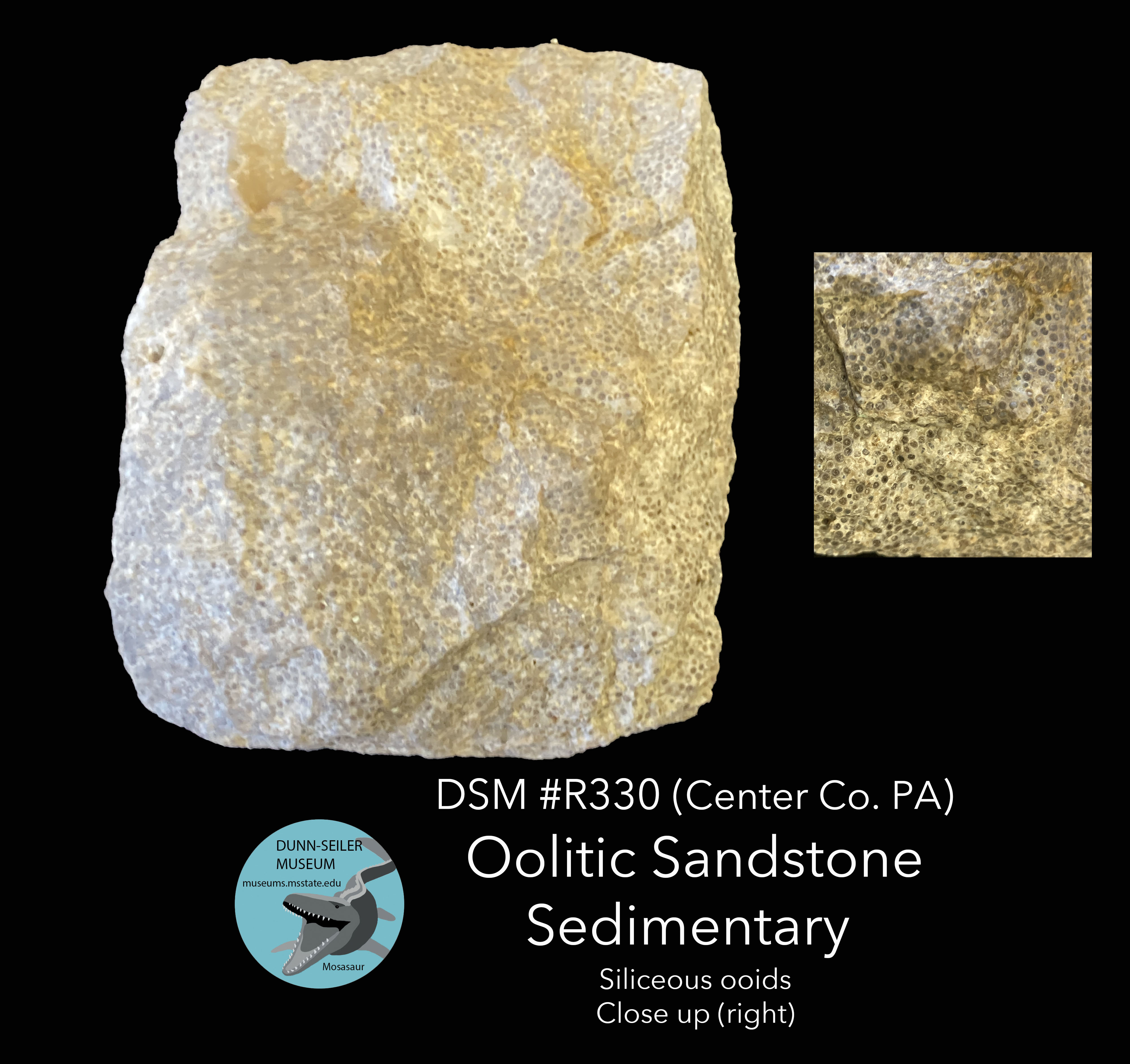 Dunn-Seiler Museum: Sedimentary Rocks | Museums and Galleries
